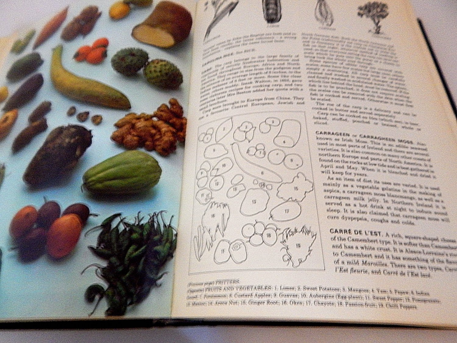 Dictionary of Gastronomy 1970 Andre Simon Robin Howe Food Wine ...