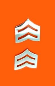SGT Chevron Pin Set Rank Insignia Police Nickel Plated 3/4" Military ...