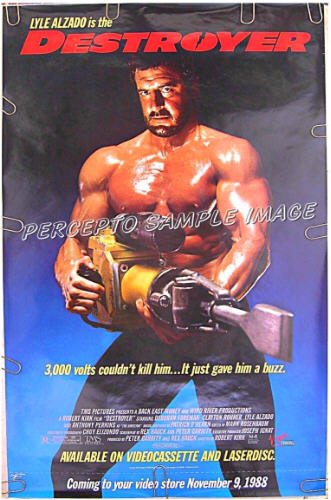 The DESTROYER ~ '88 Action 1-Sheet Movie Poster ~ LYLE ALZADO / ANTHONY ...