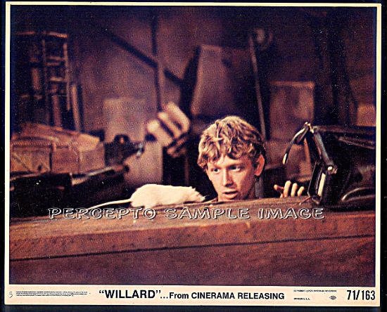 WILLARD ~- Original '71 Horror Movie Photo ~ BRUCE DAVIDSON with RAT