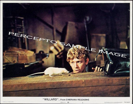 WILLARD 1971 ~ Original COMPLETE SET OF 8 Lobby Cards ~ ERNEST BORGNINE ...