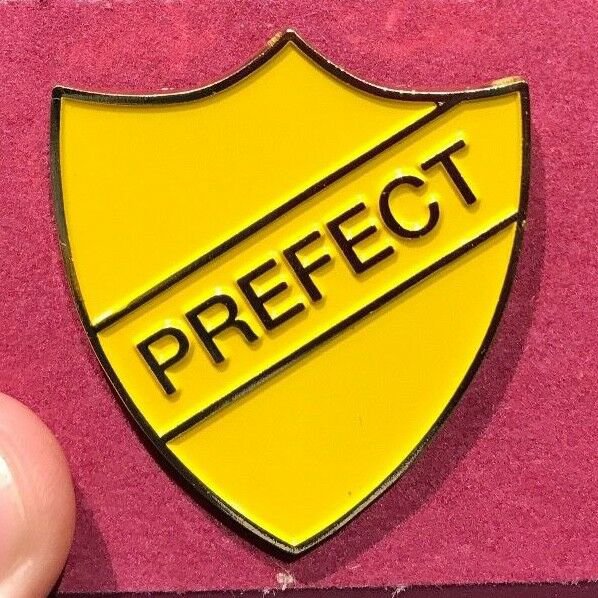 Universal Studios Wizarding World of Harry Potter Hufflepuff Prefect ...