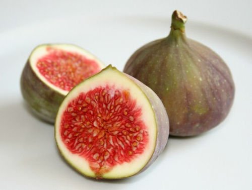 HEIRLOOM NON GMO African Olive Fig Tree 10 Seeds