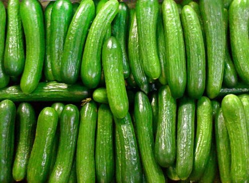 HEIRLOOM NON GMO Persian Beit Alpha Cucumber 15 seeds