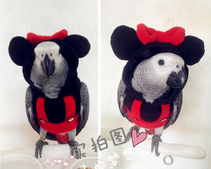 Free shipping Pet Parrot Bird Clothes Cockatiel cockatoo Parakeet Macaw ...