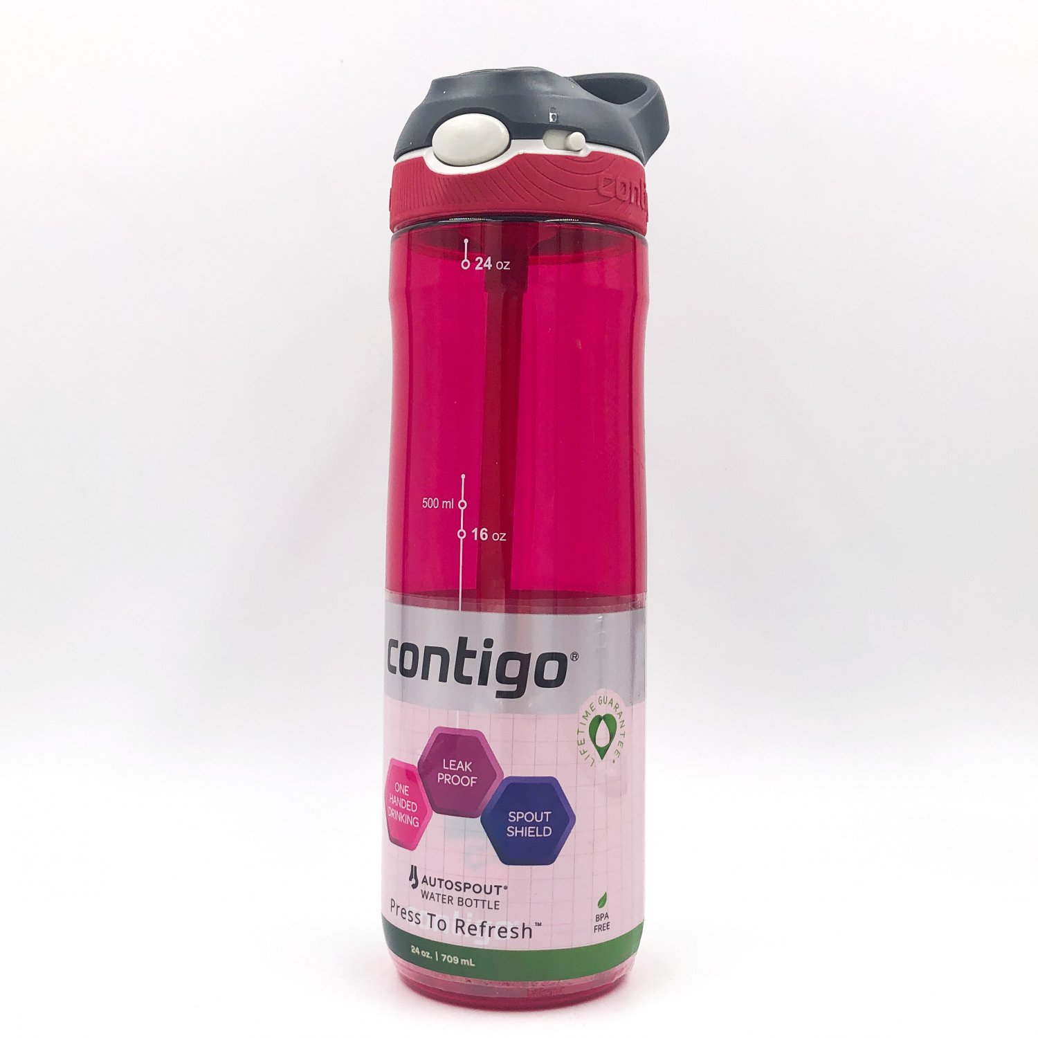 Contigo 24 oz Ashland Water Bottle Sangria Pink