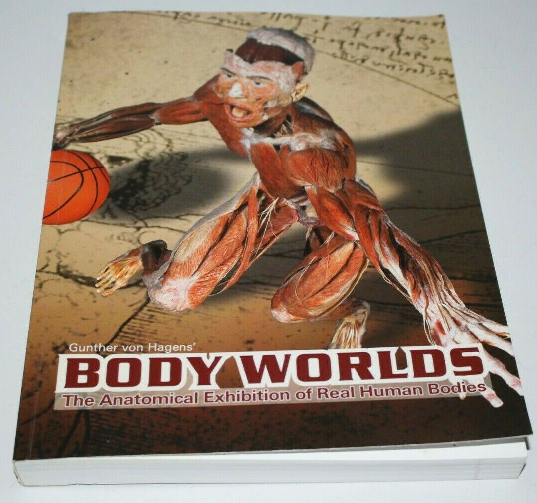Body Worlds The Anatomical Exhibition of Real Human Bodies Gunthe ...