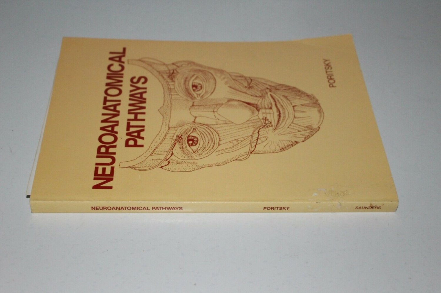 Neuroanatomical Pathways Raphael Poritsky PhD 1984 WB Sanders Brain Anatomy