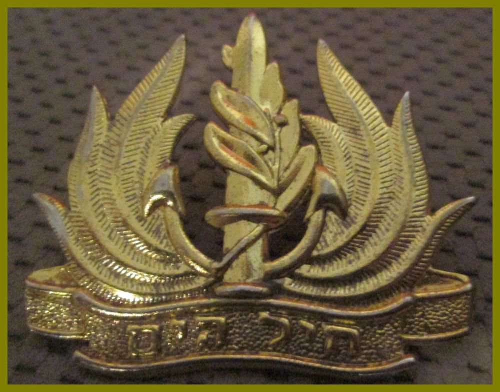idf israel army zahal military badges pin basic Hat Beret Force Navy Corps