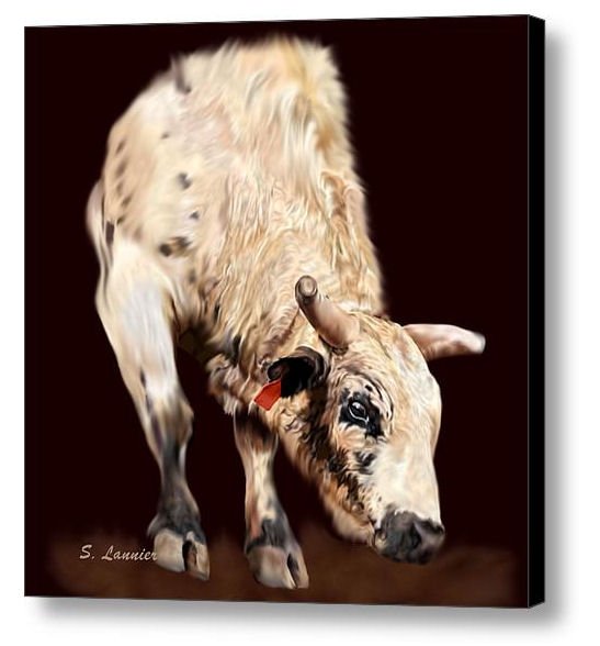 Smooth Operator Bucking Bull