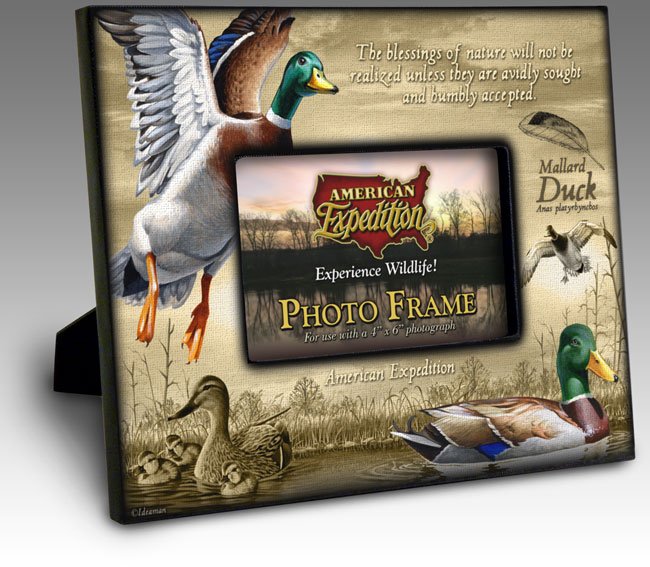 Mallard Duck Canvas Wrapped Photo Frames
