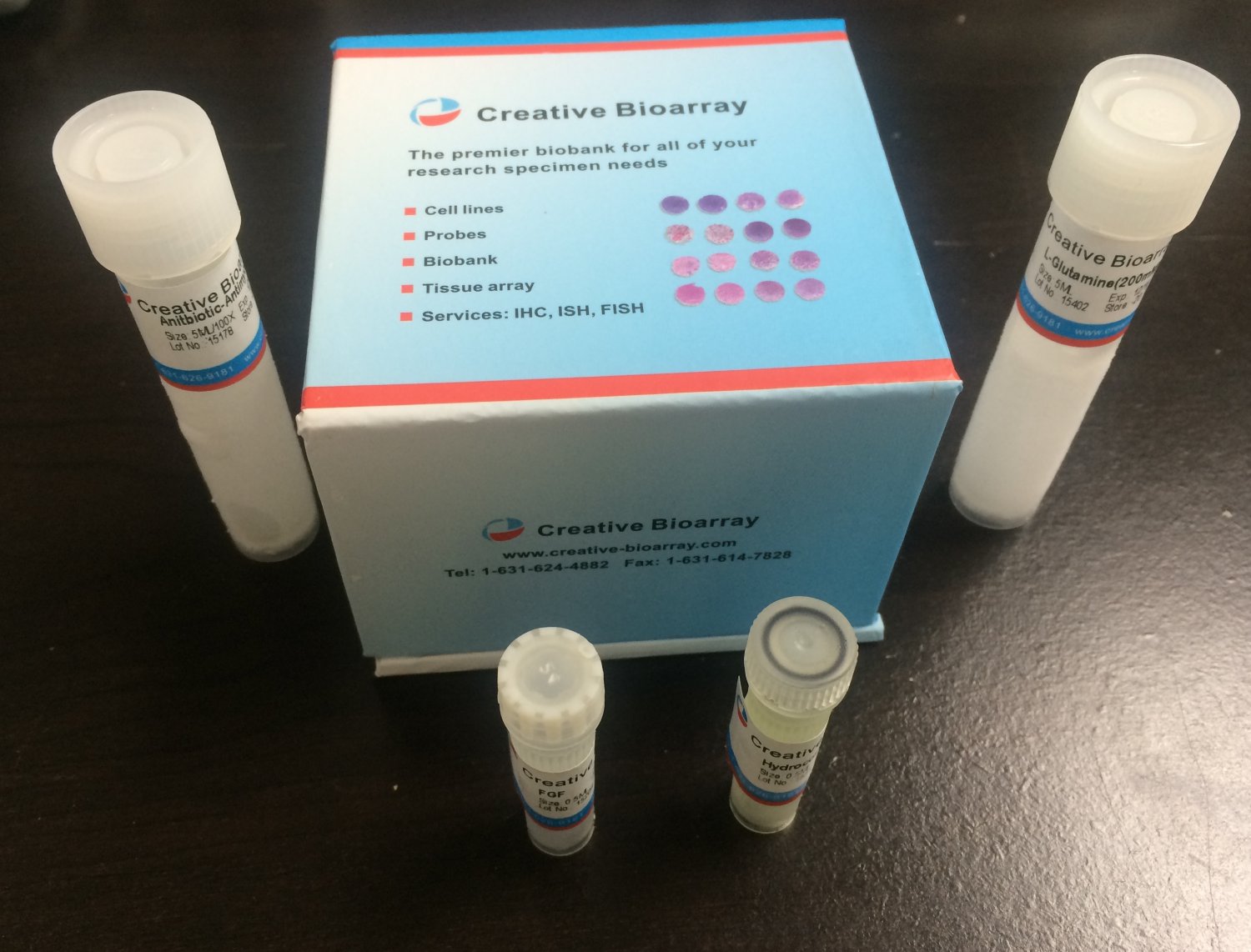 C57BL/6-GFP Mouse Skeletal Muscle Microvascular Endothelial Cells