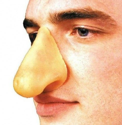 LATEX RUBBER SNOZ NOSE Funny Costume Joke Gag Jimmy Durante Fake Big ...
