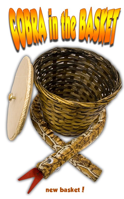 REMOTE CONTROL COBRA SNAKE IN BASKET Spring Out Card Magic Trick Pop Up ...