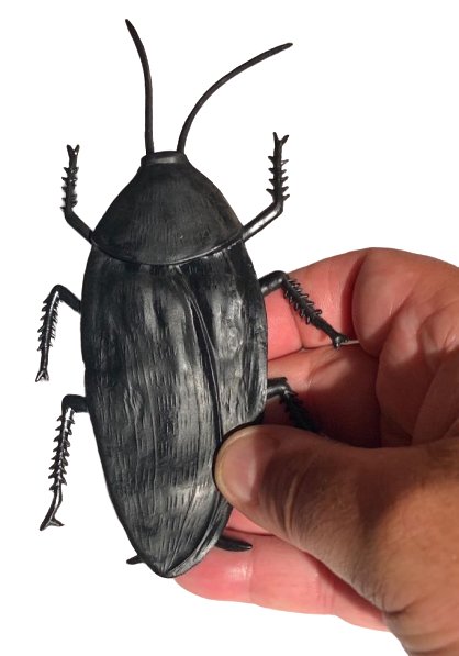 6" JUMBO COCKROACH Giant Bug Rubber Fake Prank Joke Gag Funny Roach