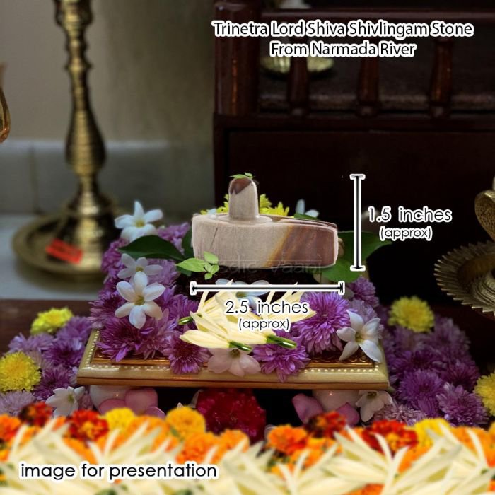 Trinetra Lord Shiva Shivlingam Stone from Narmada River Buy Online in ...