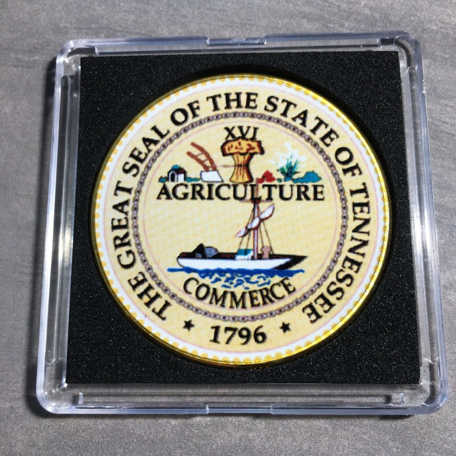 TENNESSEE State Seal Challenge Coin Colorized USA w/Case #354