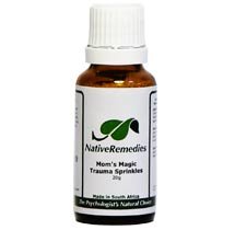 Mom's Magic Trauma Sprinkles - Child Trauma Treatment