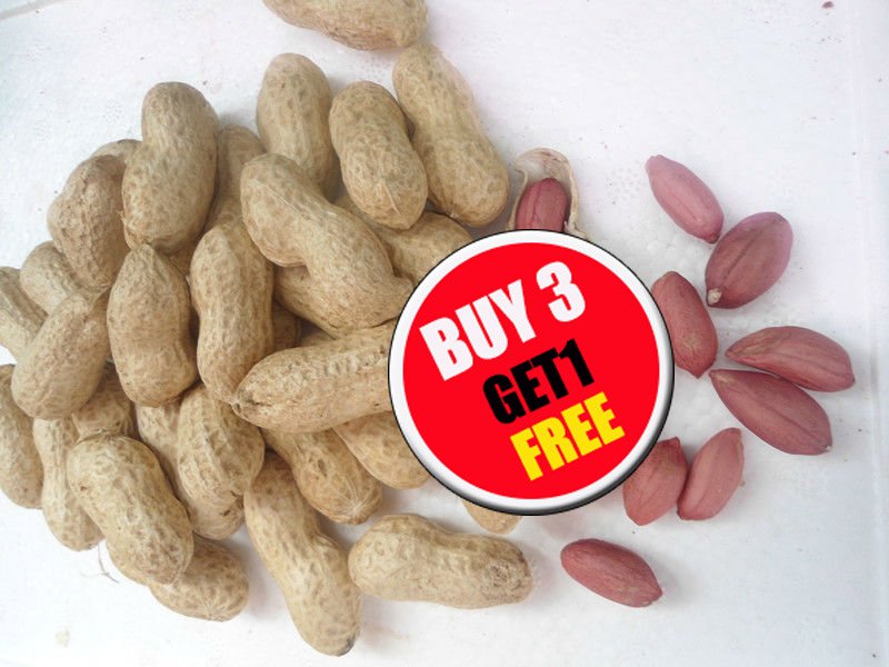 50 Thai Peanut Seeds Heirloom Thai Native Rare Peanut Organic Garden ...