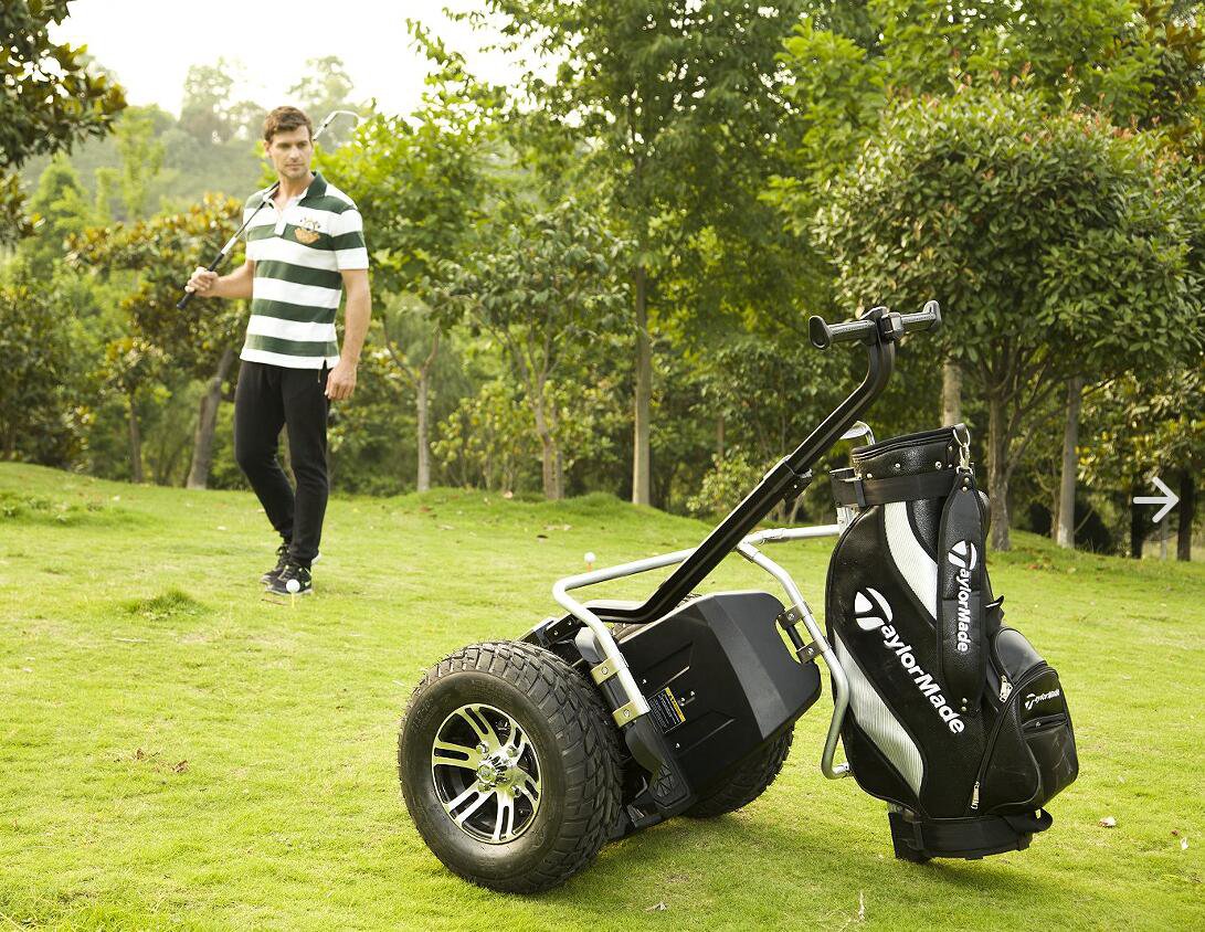 Segway analogue CHIC Golf self balancing scooter