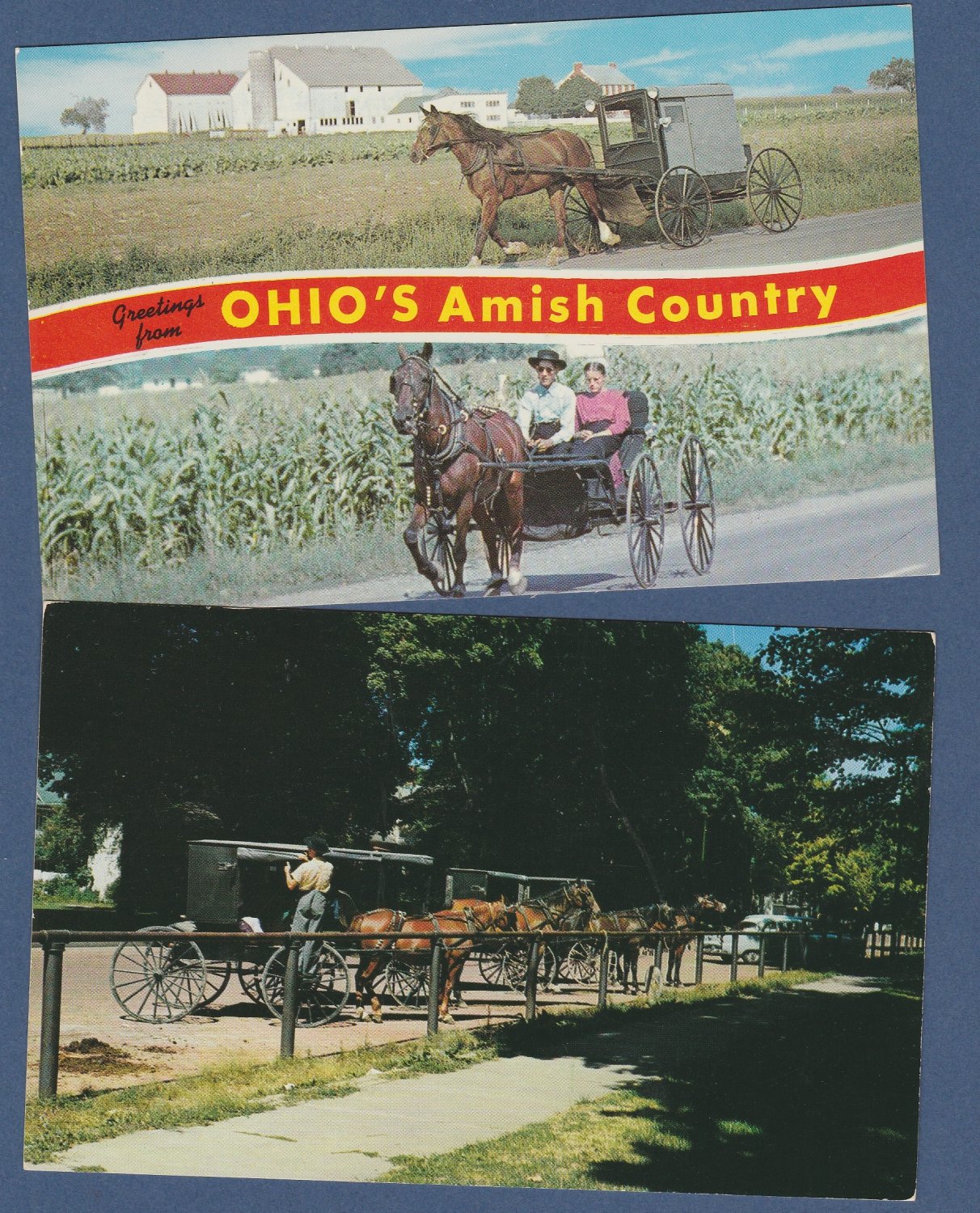 Horse and Buggy Postcards Amish, Mackinac, Carriage