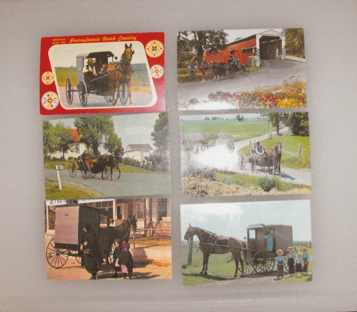Ten Amish Postcards Horses Pennsylvania Dutch Mennonite