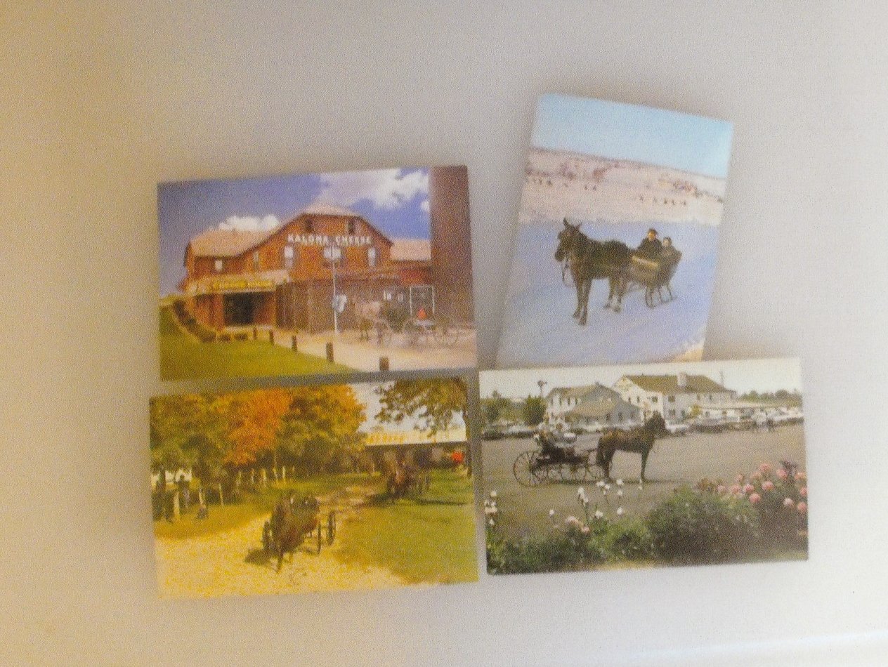 Ten Amish Postcards Horses Pennsylvania Dutch Mennonite