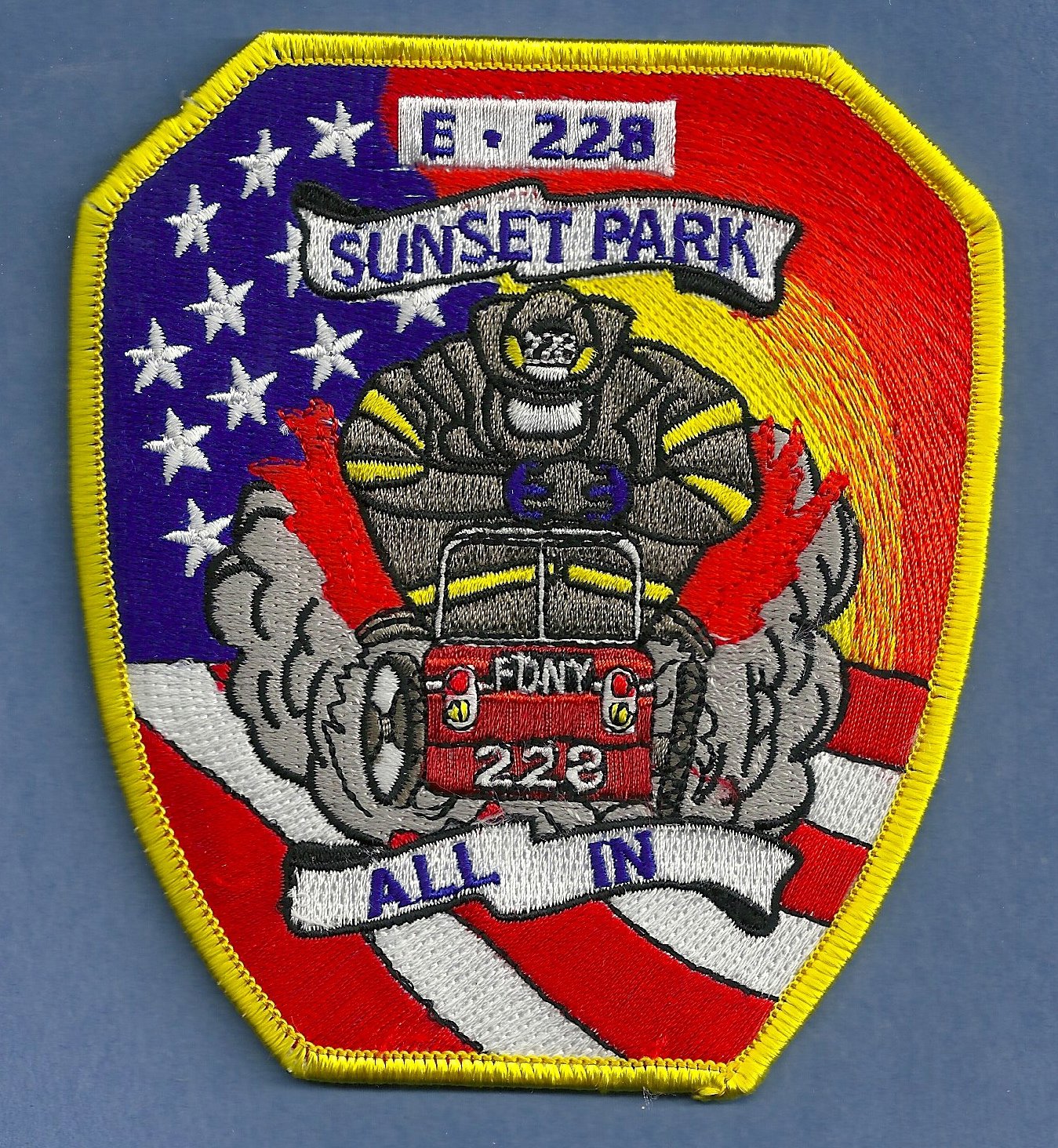 FDNY Brooklyn New York Engine Company 228 Fire Patch