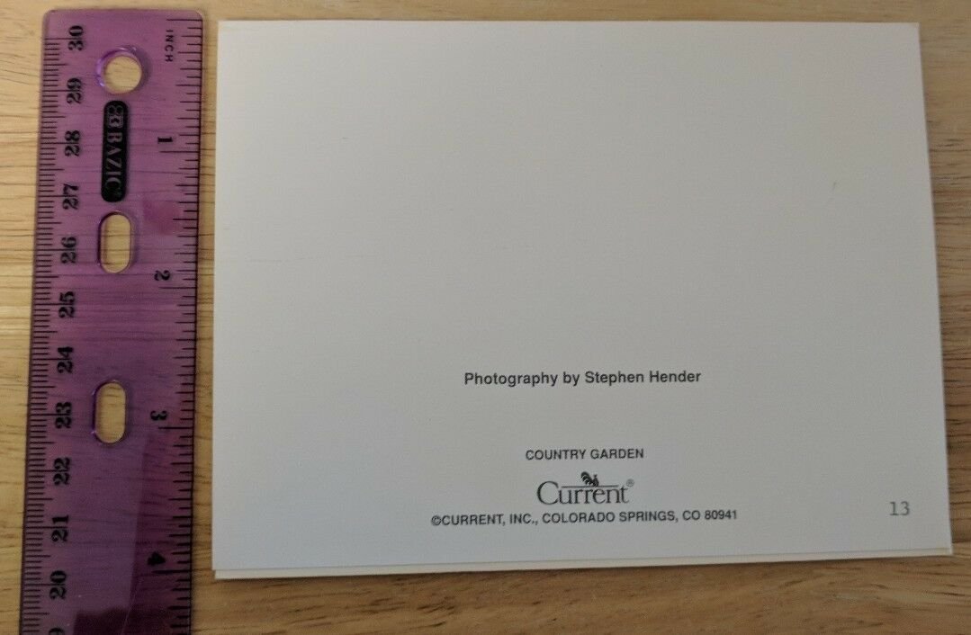 Current Inc Country Garden Photo by Stephen Hender Card Unused Vintage