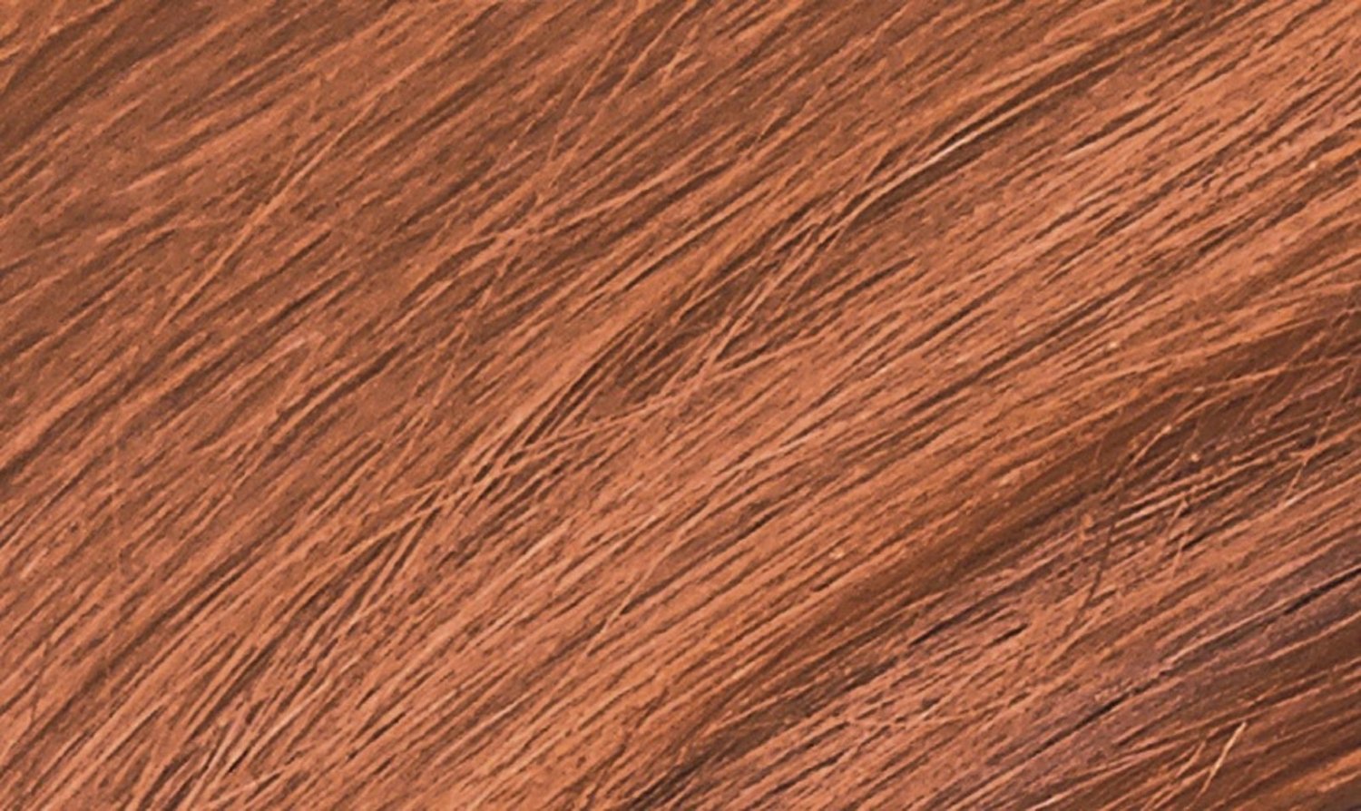 Naturtint Permanent Hair Color - 7C Terracotta Blonde 5.28 fl oz (6-pack)