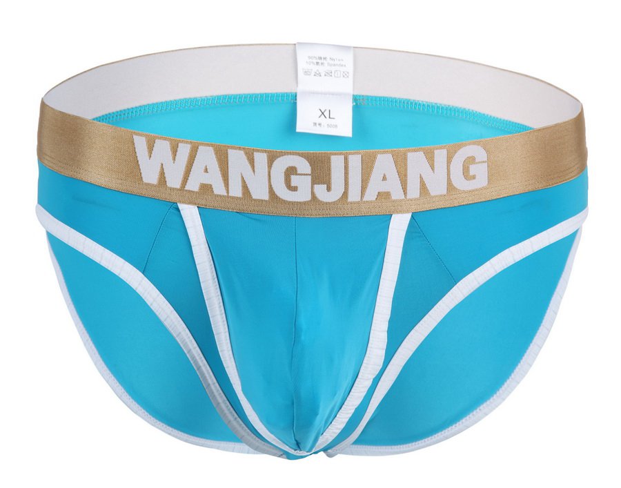 Wangjiang 3PK men's underwear ice silky briefs underpants Blue #5008SJ