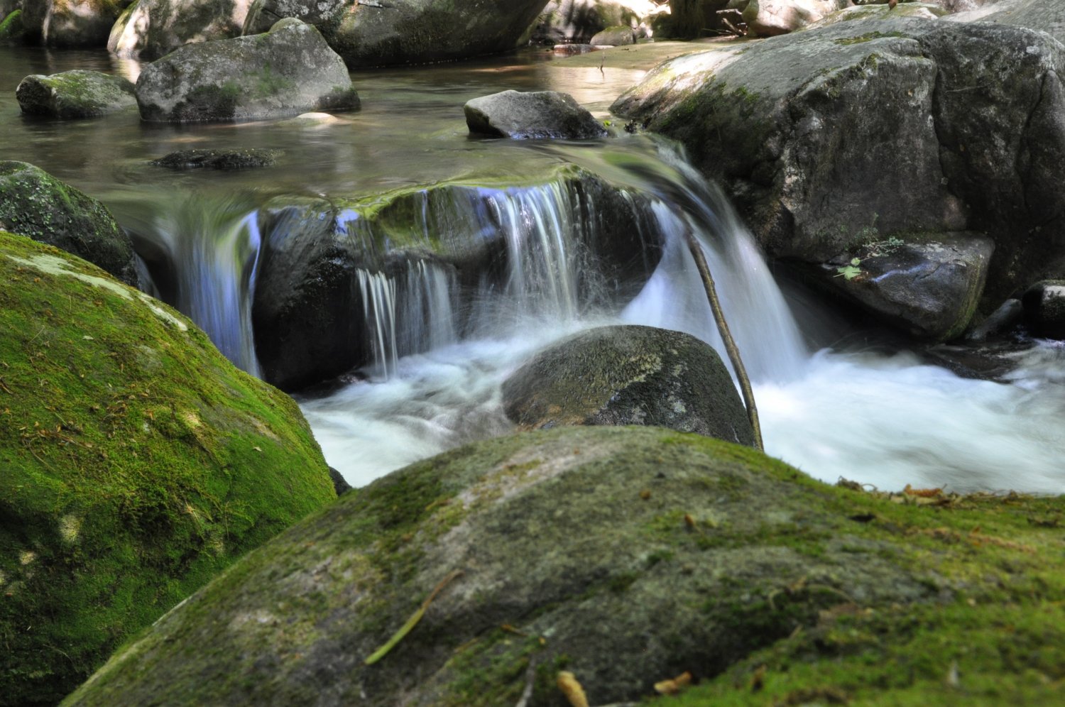 Moss Rocks With Waterfall 8x10 Photo Taken By Professional Photographer