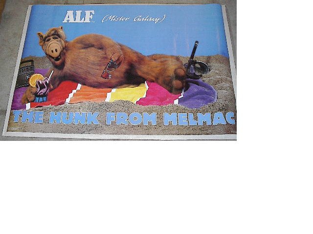 Vintage Alf Hunk poster 23 x 35 inches (from the 80's)