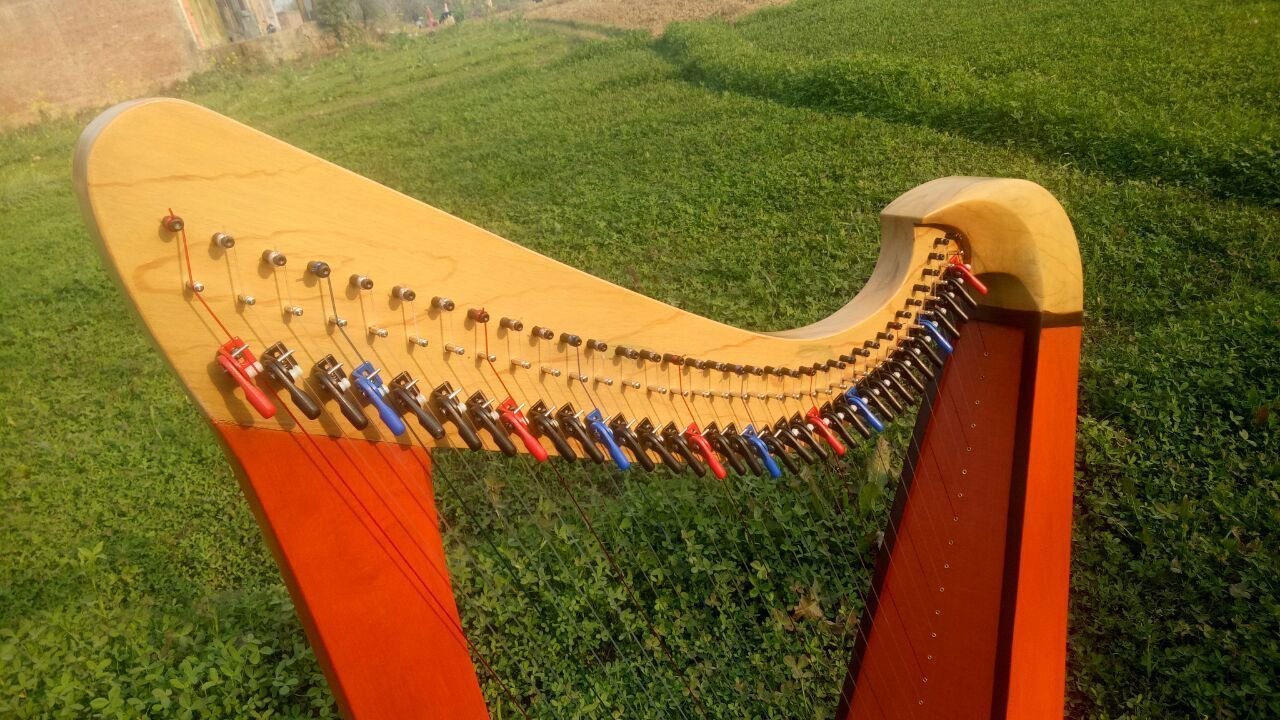 36 String Lever Harp | Folk & Celtic Harp | Beginner, Student ...