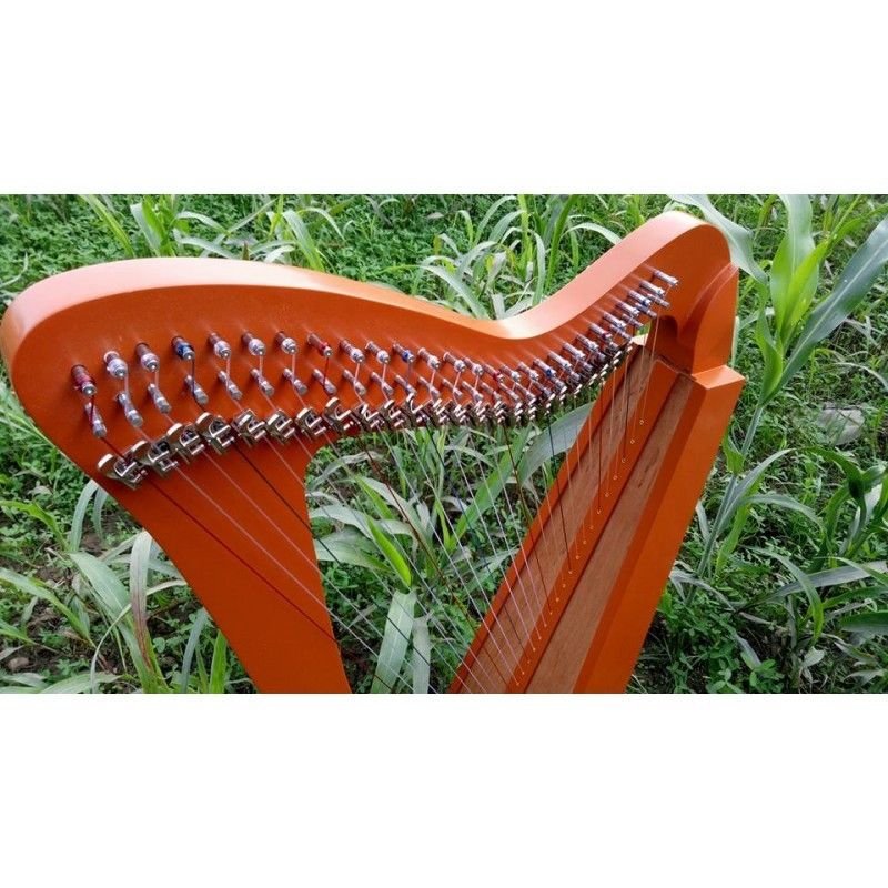 New 22 String Lever Harp Beginner Harp With Free Bag and Extra String Set