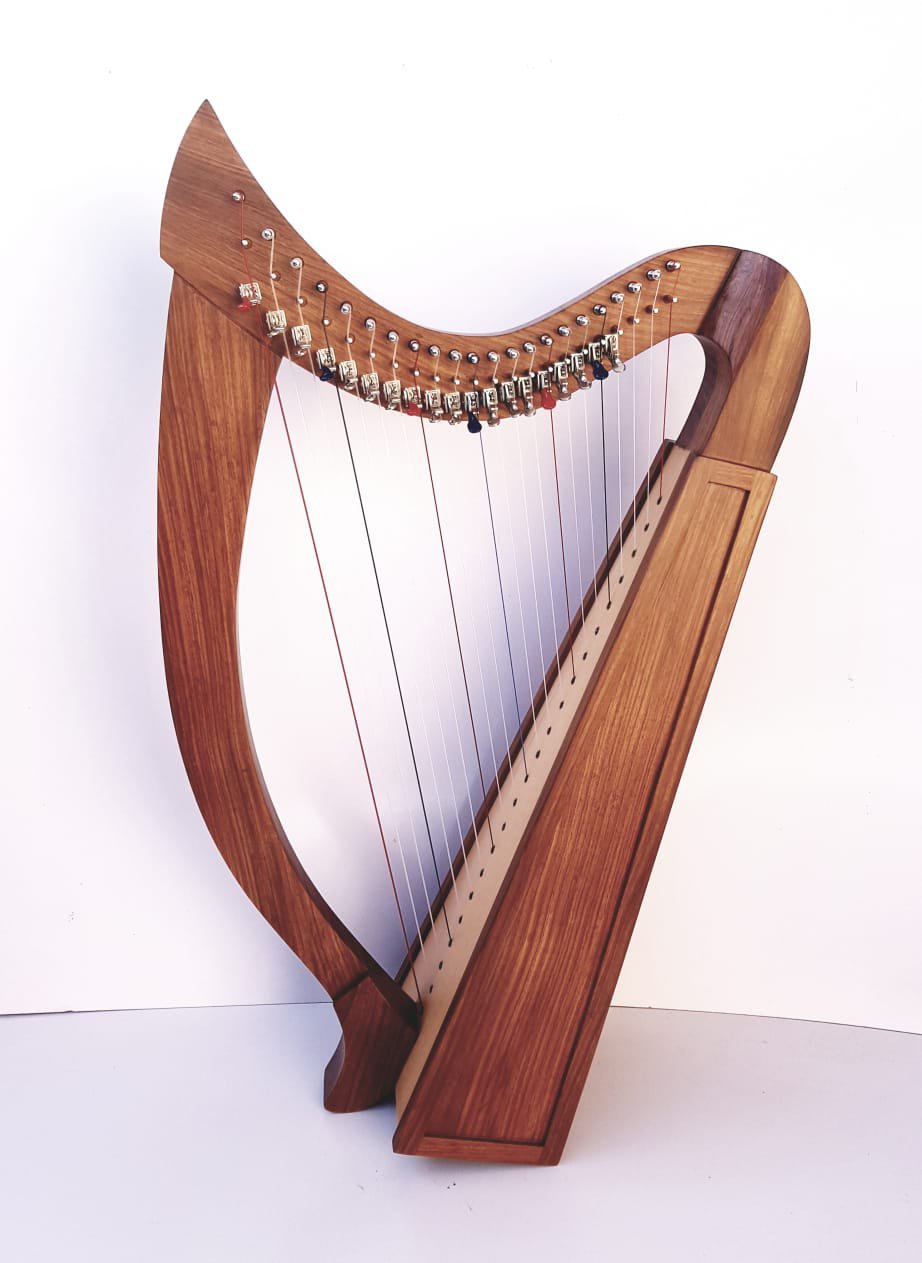 New 22 String Harp With Sharping Levers, Bag Tunning Key and Extra ...