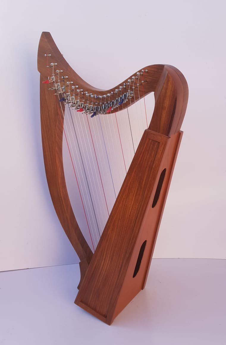 New 22 String Harp With Sharping Levers, Bag Tunning Key and Extra ...