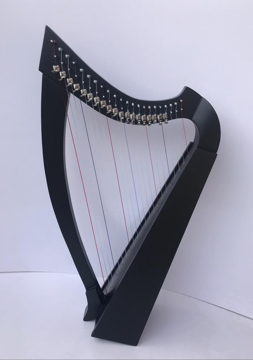 Natural 22 String Harp Lever Harp With Carry Bag and Extra String Set