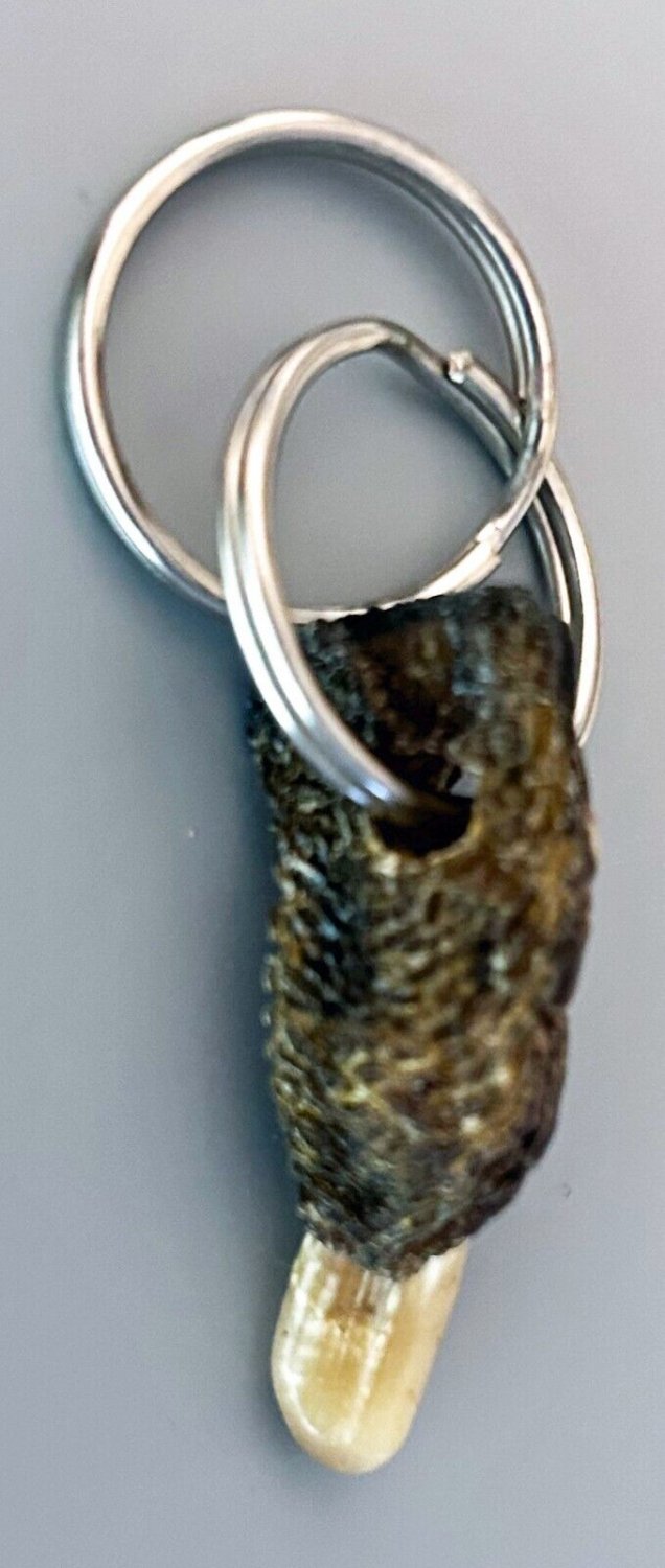 Gator Toe Key Ring Potion Magic Voodoo Bayou Power Spell Amulet Talisman