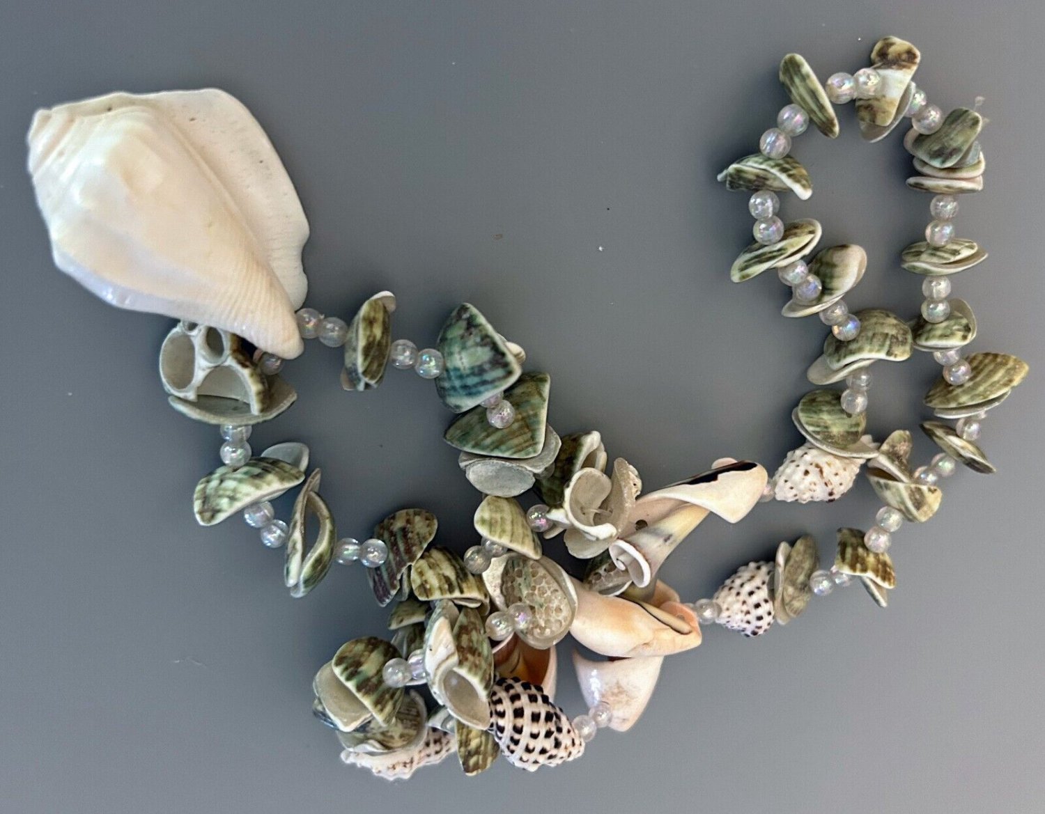 Gasparilla Pirate Necklace Seashell Shell Cowrie and Bead Beaded ...
