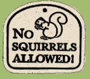 'NO SQUIRRELS ALLOWED!' Weatherproof PLAQUE & hanger