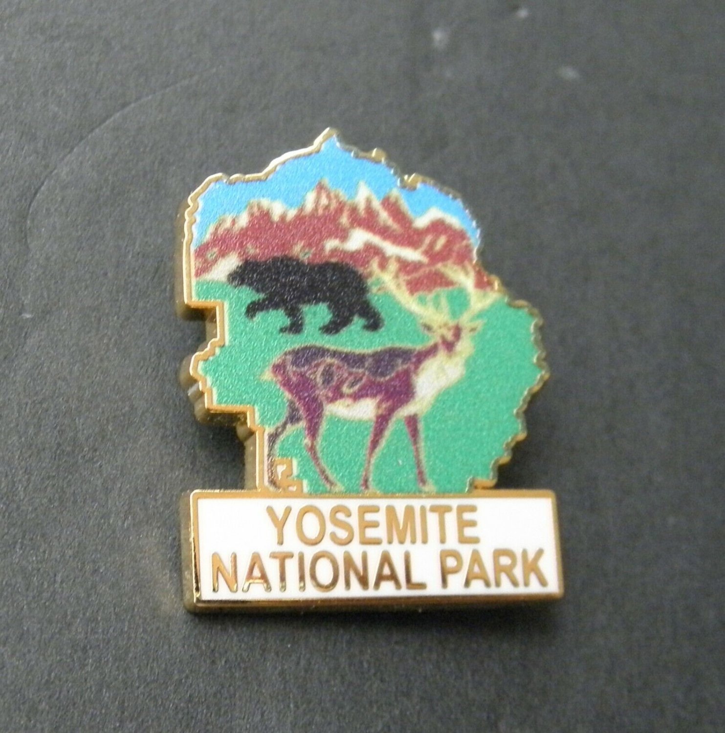 YOSEMITE NATIONAL PARK MAP LAPEL PIN BADGE 1 INCH