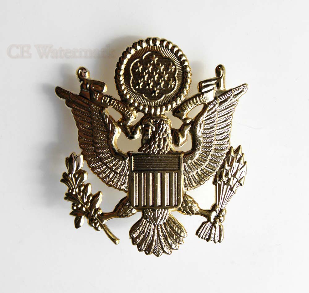 US ARMY OFFICER SERVICE EMBLEM PIN BADGE 2.5"