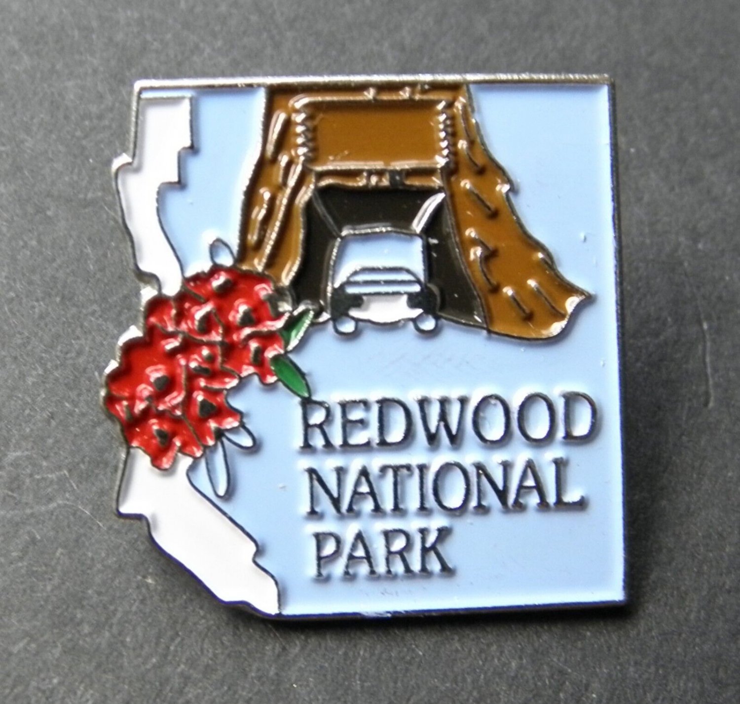 CALIFORNIA REDWOOD NATIONAL STATE PARK MAP LAPEL PIN BADGE 1 INCH