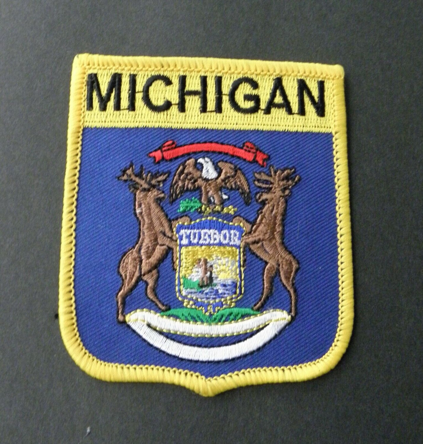 US STATES MICHIGAN STATE FLAG EMBLEM LOGO SHIELD EMBROIDERED PATCH