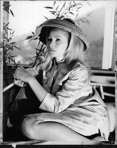 Ursula Andress sitting. - 8x10 photo