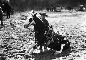 Climb aboard - 8x10 photo