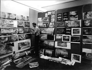Walt Disney working. - 8x10 photo