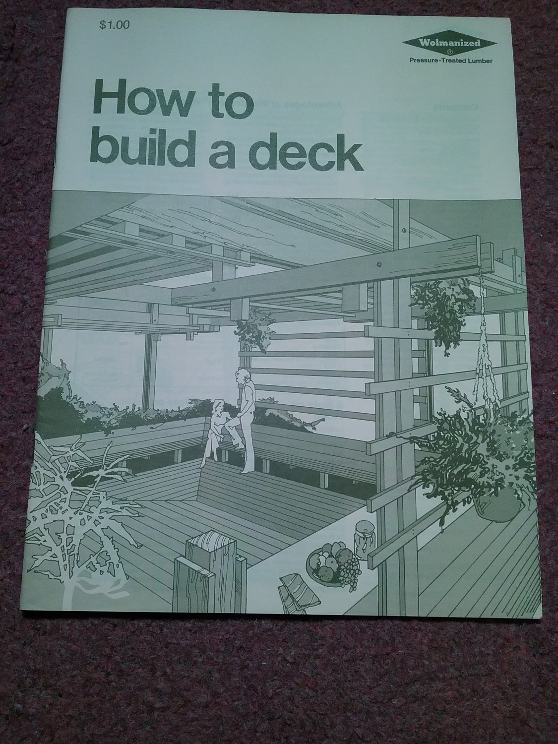 Vintage 1979 How to Build a Deck, Wolmanized WOL-W 070716405