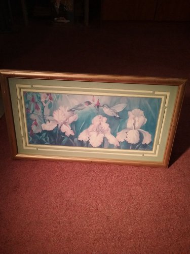 FRAMED ART PRINT PAINTING HUMINGBIRD BIRD Robin Allen M09241631